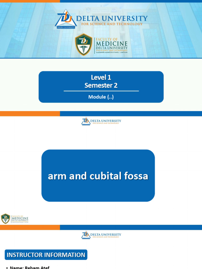 L4 Anatomy Arm & Cubital Fossa 1 (Locomotor System) | PDF | Arm | Elbow