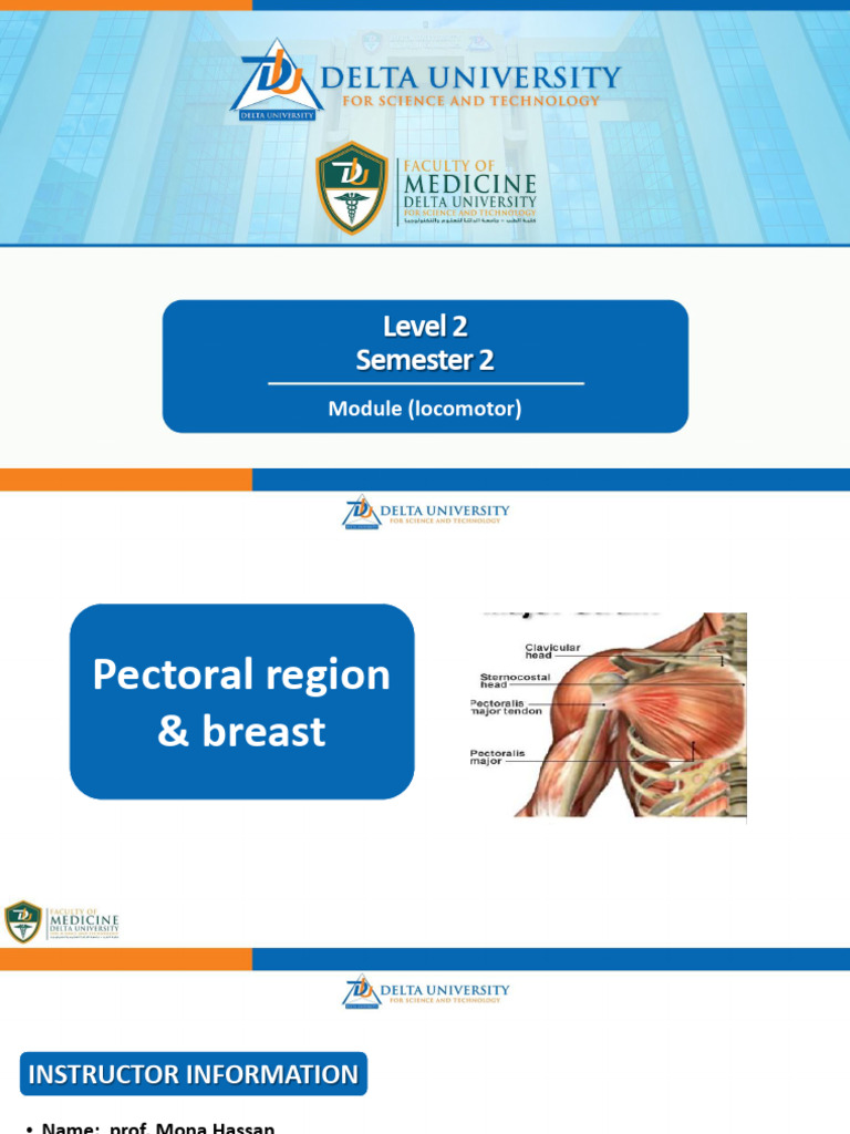 Anatomy of the Pectoral Region & Breast | PDF | Human Anatomy ...
