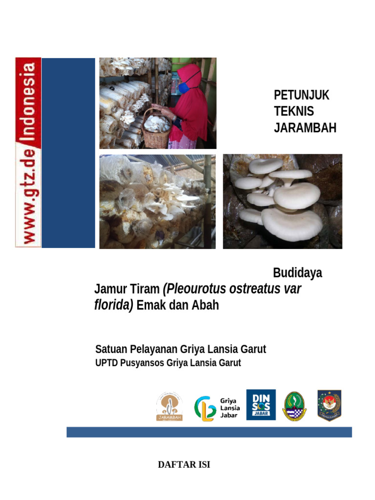 50 Ste Final - 2 | PDF