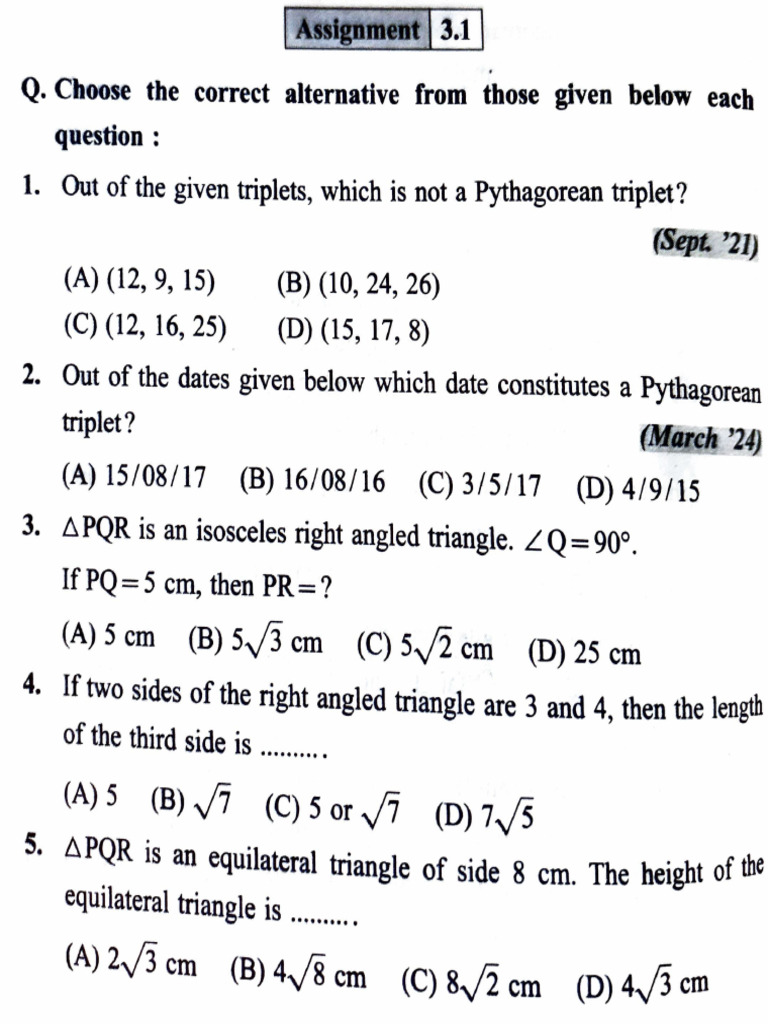 Pythagoras Theorem Assignment | PDF | Triangle | Geometry