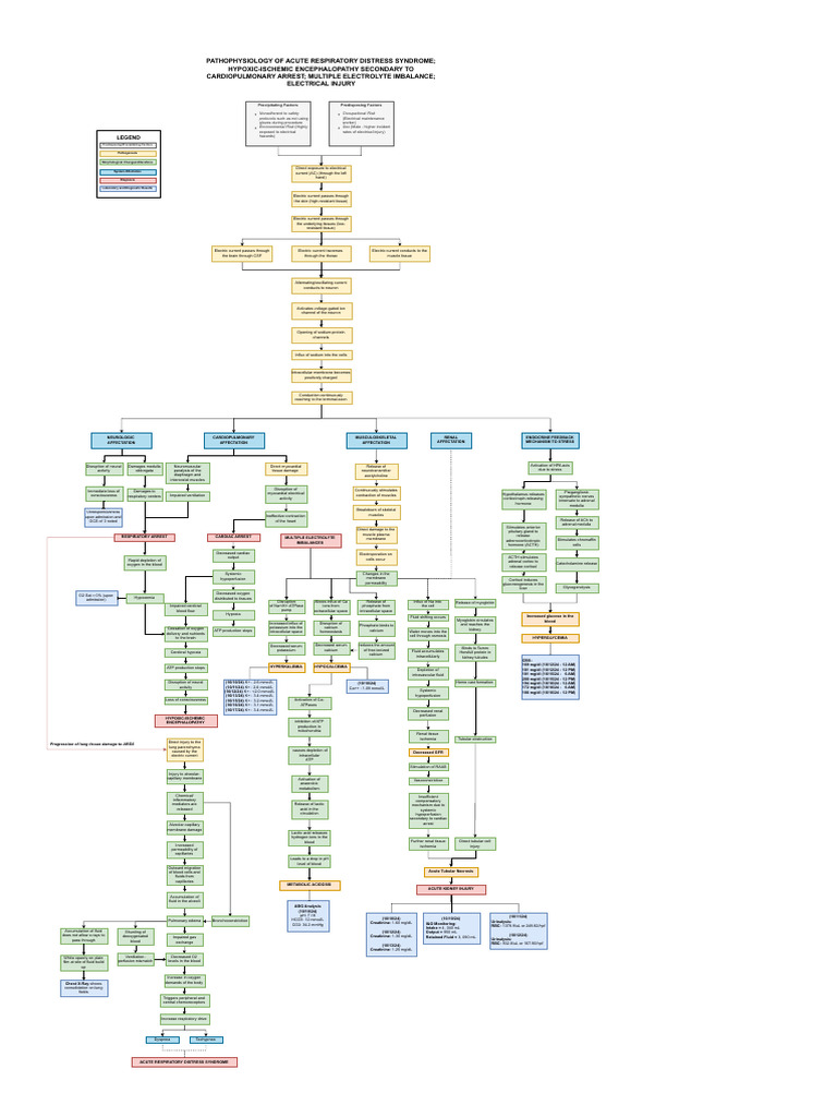 ELECTRICAL INJURY PATHO DRAFT-REVISED PATHO - Drawio | PDF | Adrenal Gland | Cortisol