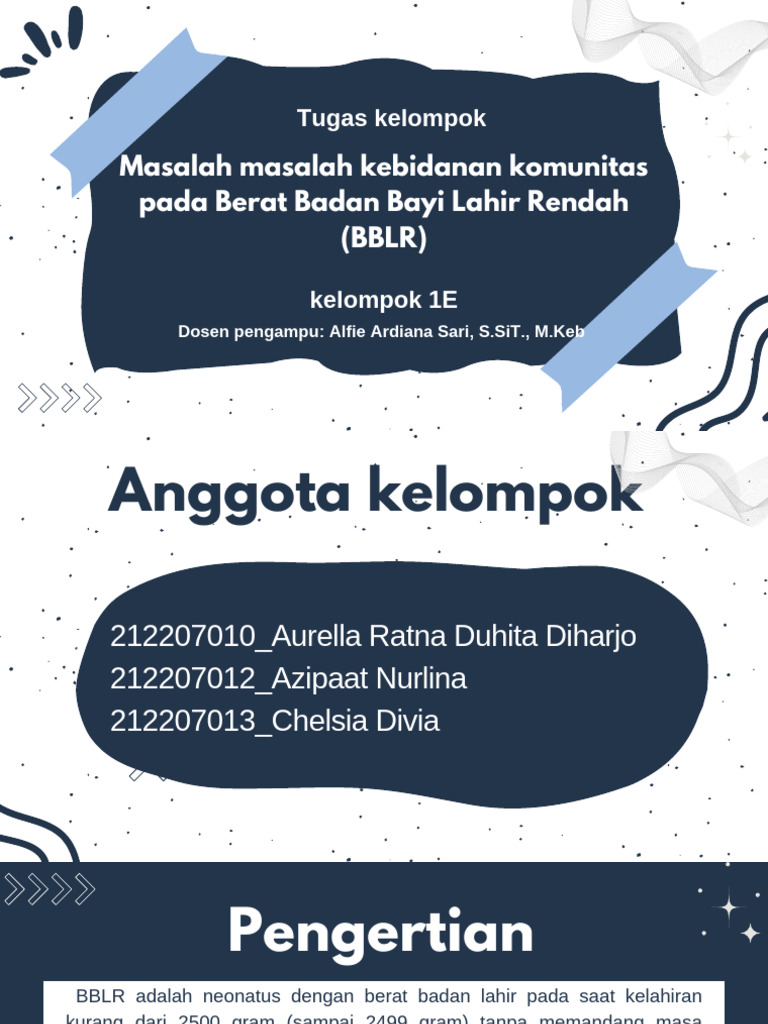 BBLR - 20241028 - 151025 - 0000 | PDF