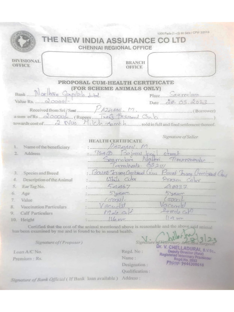 4 Cow insurance | PDF