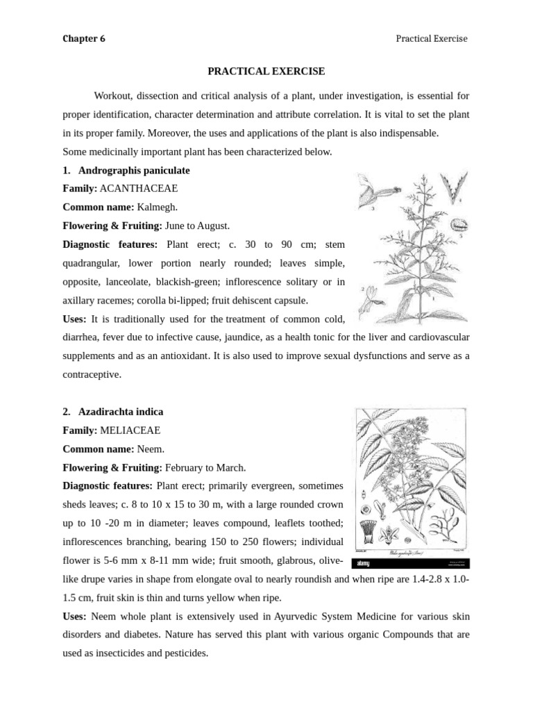 6_ Practical Exercise | PDF | Leaf | Flowers