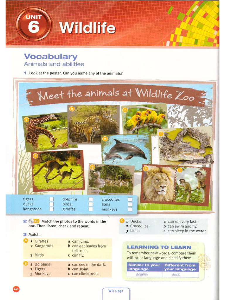 On The Pulse. Starter. Coursebook. Unit 6 | PDF