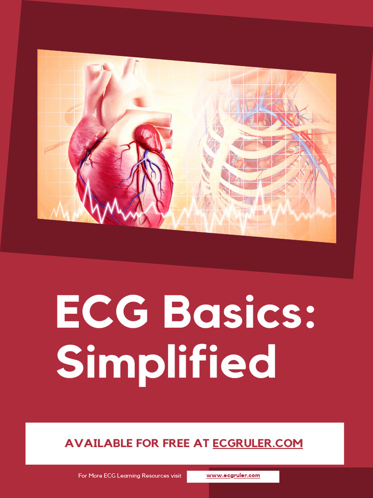 ECG Basics: A Simplified Guide | PDF | Electrocardiography | Heart