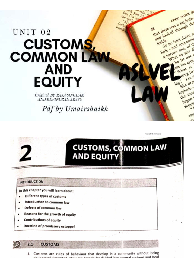 A - Levels Law (Unit 2) | PDF