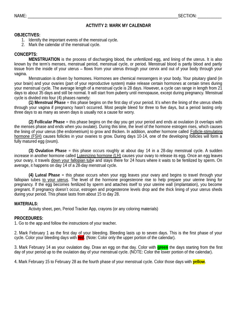 ACTIVITY-menstruation | PDF | Menstrual Cycle | Mammal Reproductive System