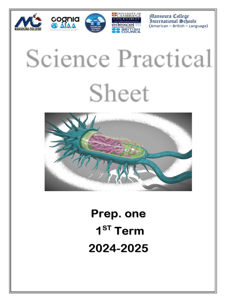 MC Science Practical Sheet 1st Term 2024-2025 | PDF | Magnet | Compass