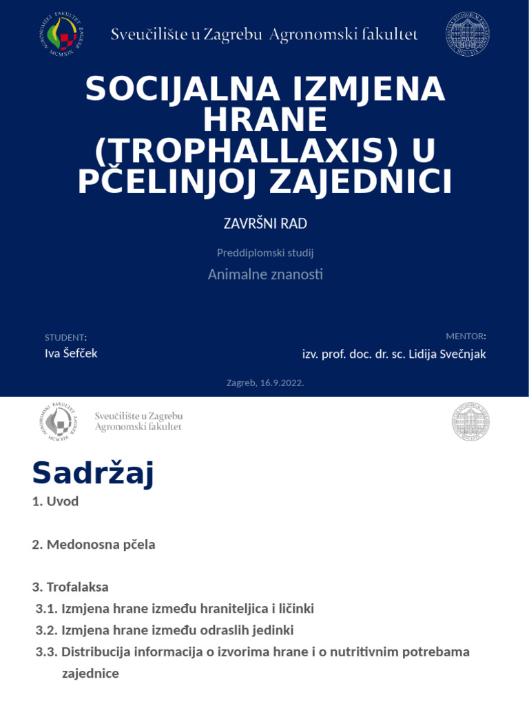 Prezentacija Za Završni Rad - Trofalaksa U Pčelinjoj Zajednici | PDF