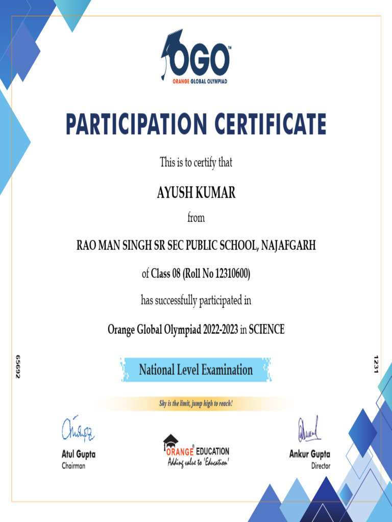Participation Certificate: Ayush Kumar | PDF