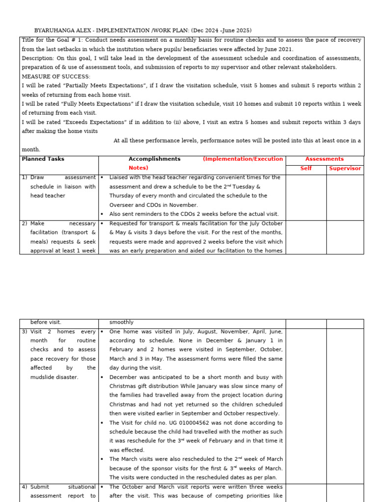 Alex byaruhanga Individual Work Plan - Template (1) | PDF | Social Psychology