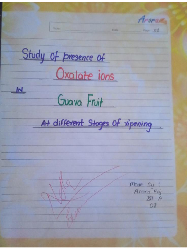 DOC-20241105-WA0002 | PDF