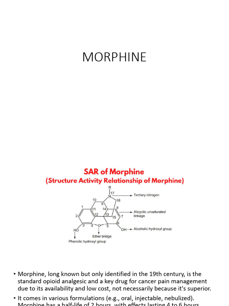 Alkaloid 4 Th Sem | PDF | Morphine | Opioid