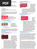 Traditional Panay Bukidnon Embroidery Patterns | PDF