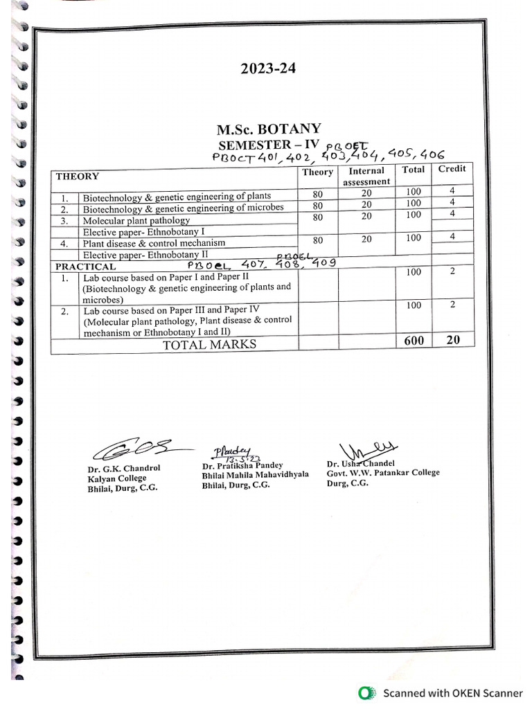 MSC 4th Sem Syllabus | PDF