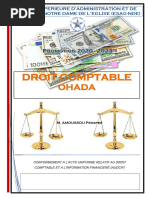 Plan Comptable OHADA Revise Complet | PDF