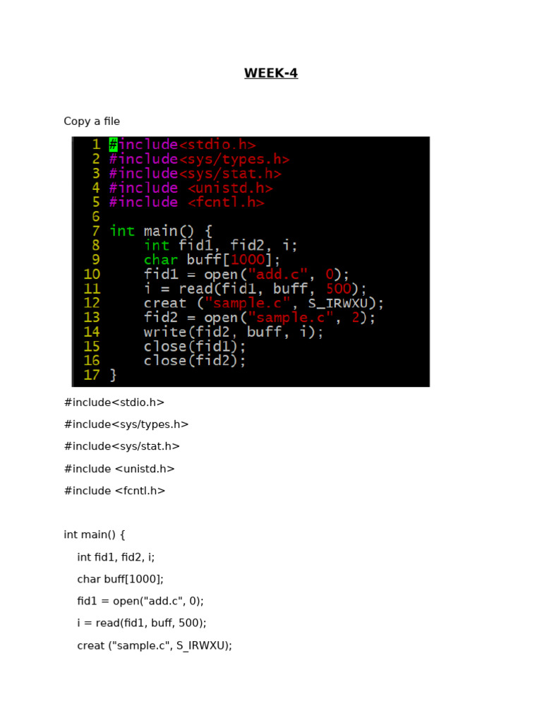 C Programming File Operations | PDF
