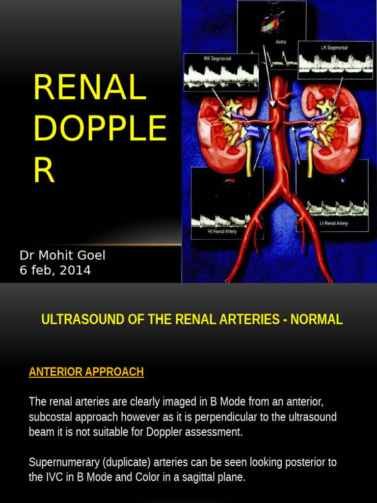 Renaldoppler 150215054219 Conversion Gate02 | PDF | Aorta | Vein
