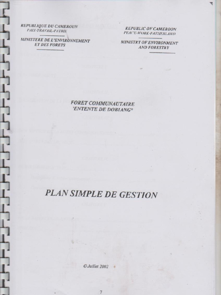 Plan Simple de Gestion | PDF