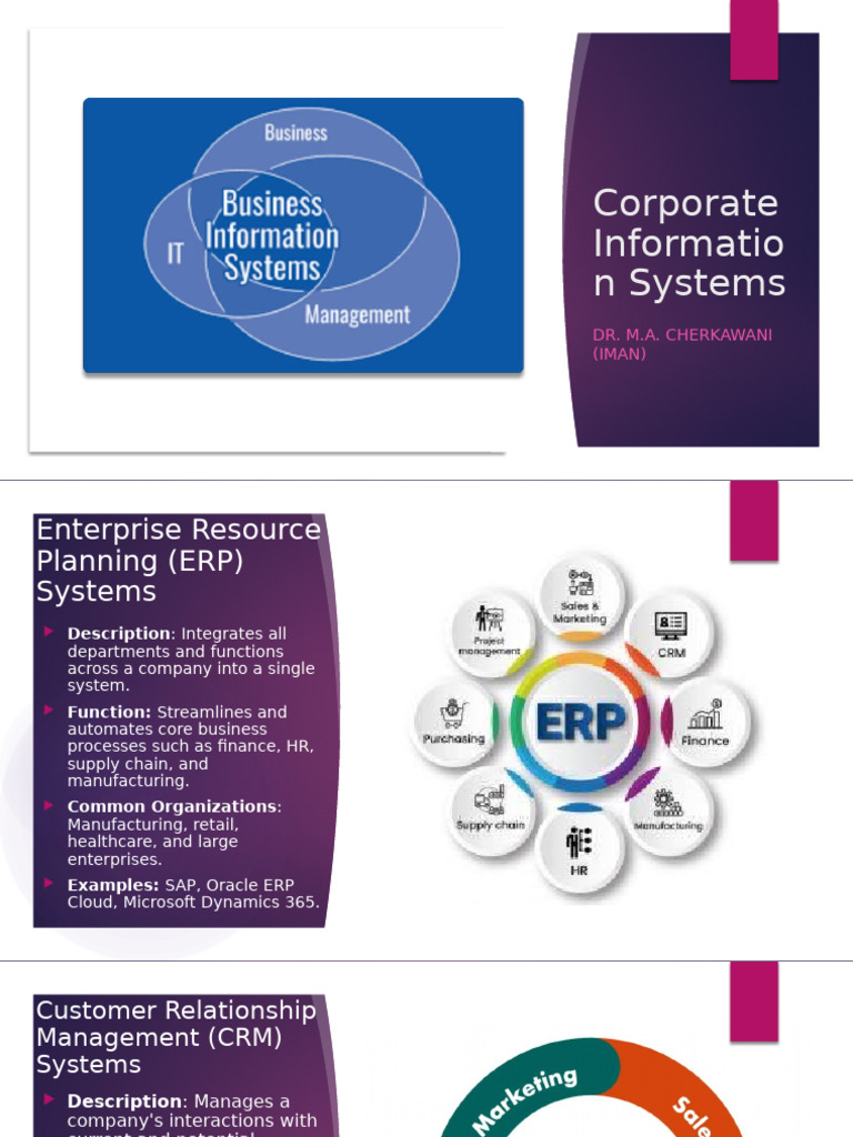 Corporate Information Systems | PDF | Customer Relationship Management ...
