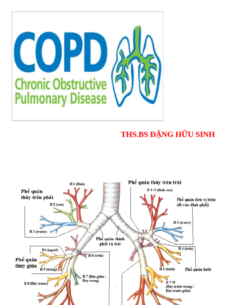 Copd | PDF