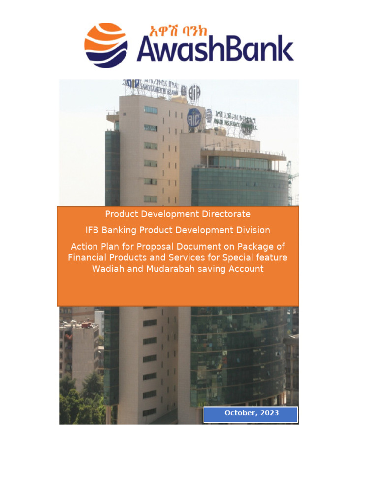 Action Plan - Equb | PDF | Business | Economies