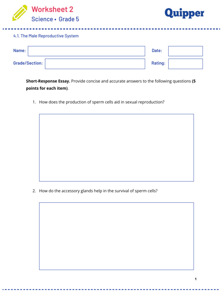 ME Sci 5 Q2 0401 The Male Reproductive System WS2 | PDF