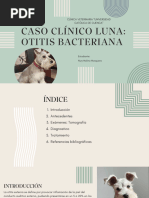Características del Ácaro Otodectes Cynotis | PDF