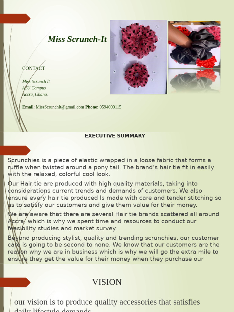 BUSINESS PLAN | PDF | Business Economics | Economies