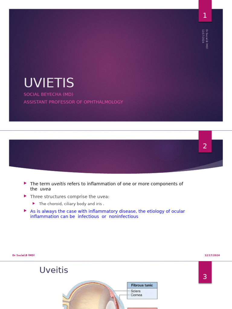 Uvietis PH (1) | PDF | Ophthalmology | Human Eye