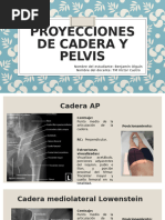 Signo del Perrito Escocés en Radiología | PDF | Vértebra | Medicina