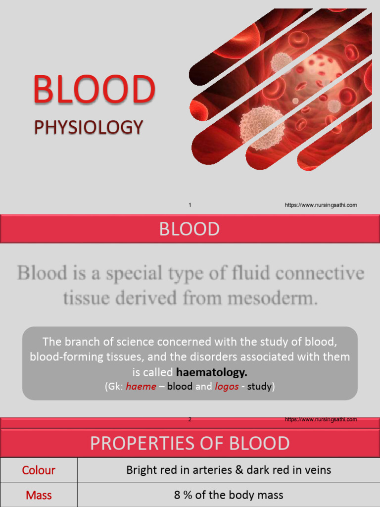 Blood Physiology and Circulation | PDF | White Blood Cell | Blood