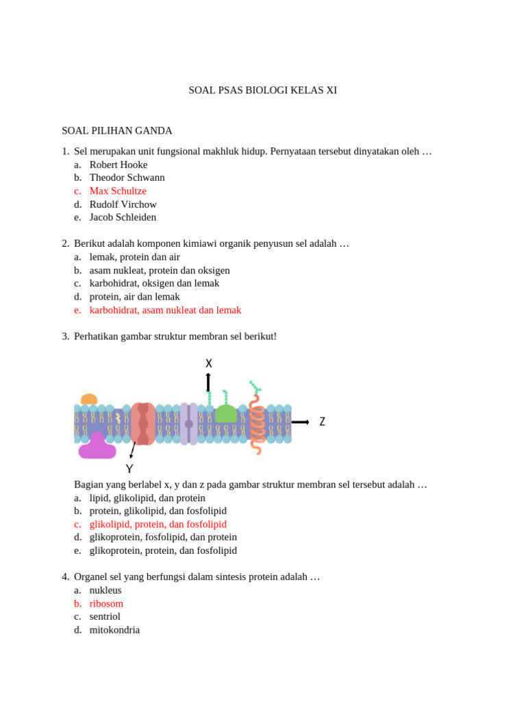 Soal Psas Biologi Kelas Xi | PDF