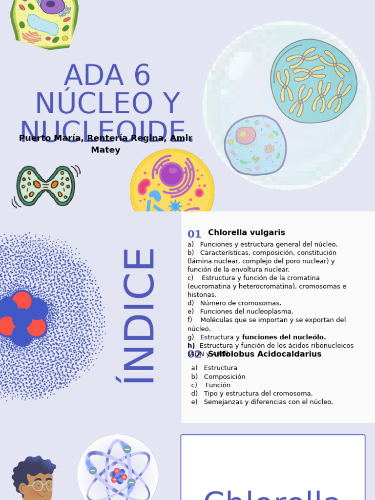 NÚCLEO Y NUCLEOIDE, de Las Células Procariota y Eucariota | PDF ...