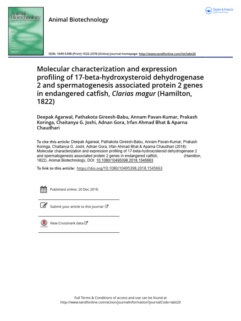 Catfish Gene Profiling: 17b-HSD2 & SPATA2 | PDF | Primer (Molecular ...