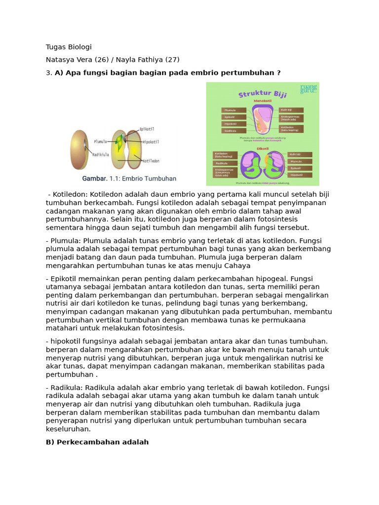 embrio pertumbuhan pada tumbuhan | PDF