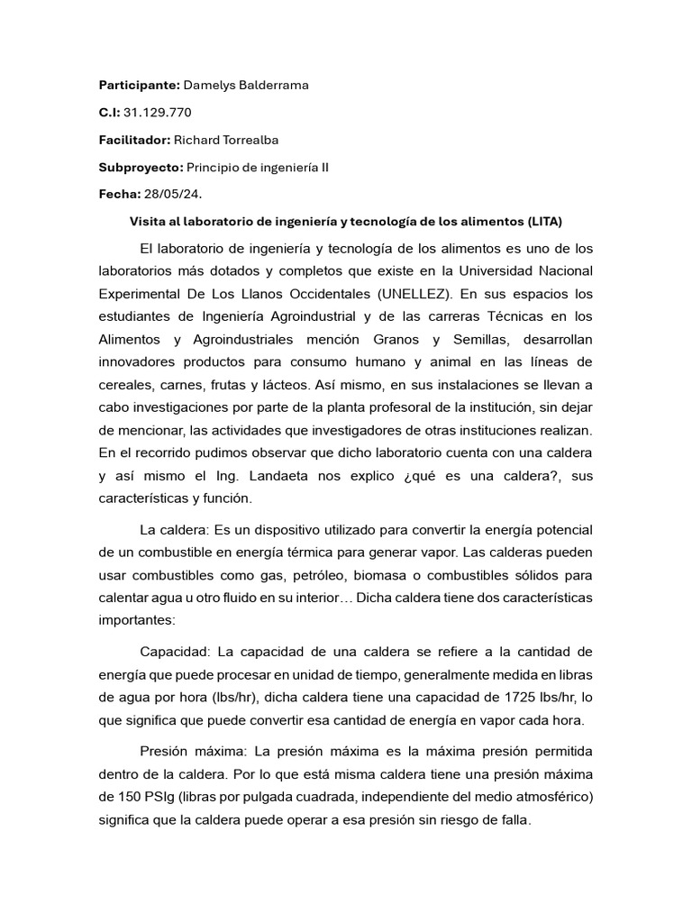 Documento de Cris ? | PDF | Presión | Vapor