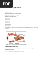 Extraocular Muscles & Ocular Motility Guide | PDF | Anatomical Terms Of ...