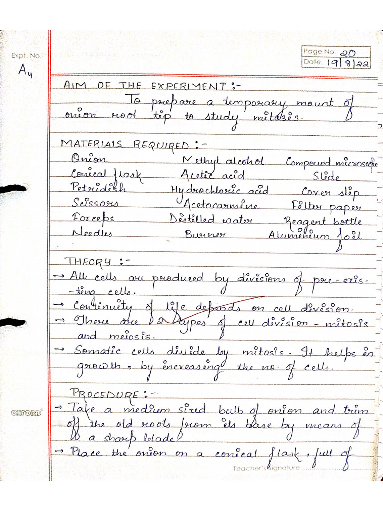 Biology Experiment 4 | PDF