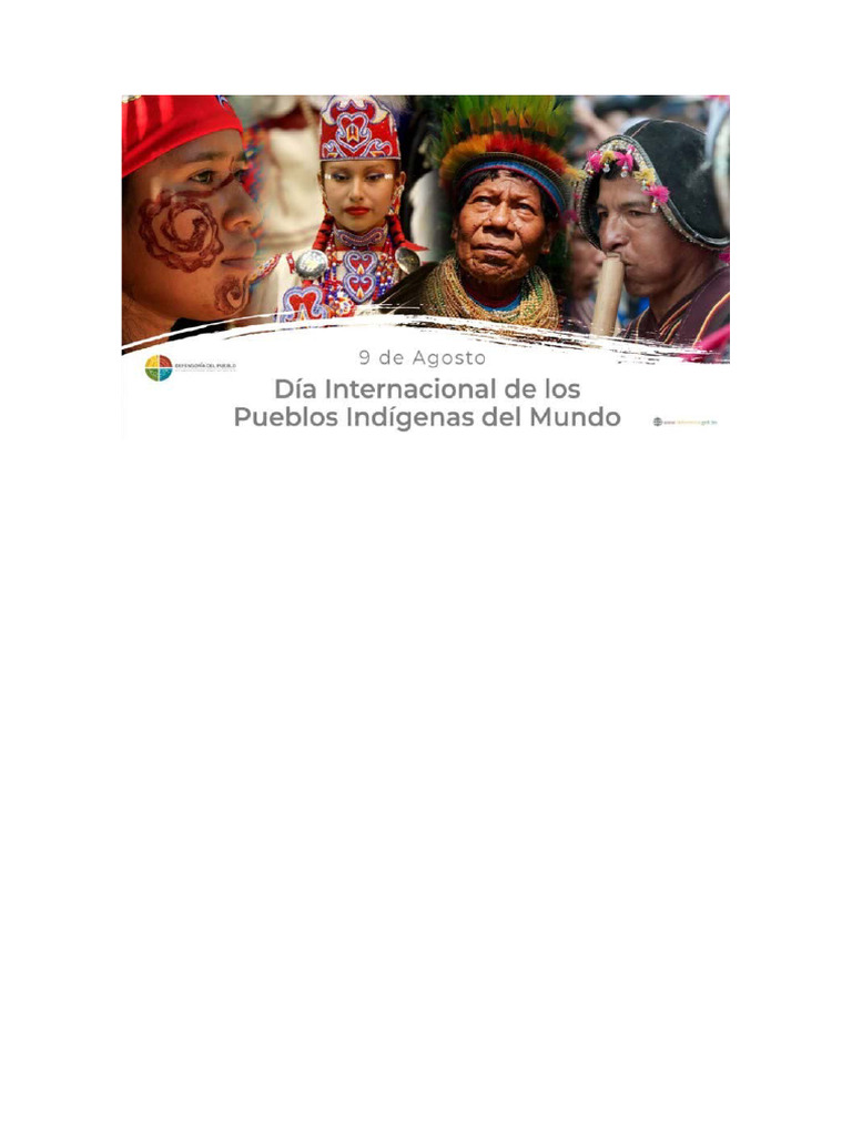 5b de Primaria | PDF