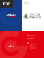 Manual de Identidade Visual do Amazonas | PDF | Estado | Secretário de ...