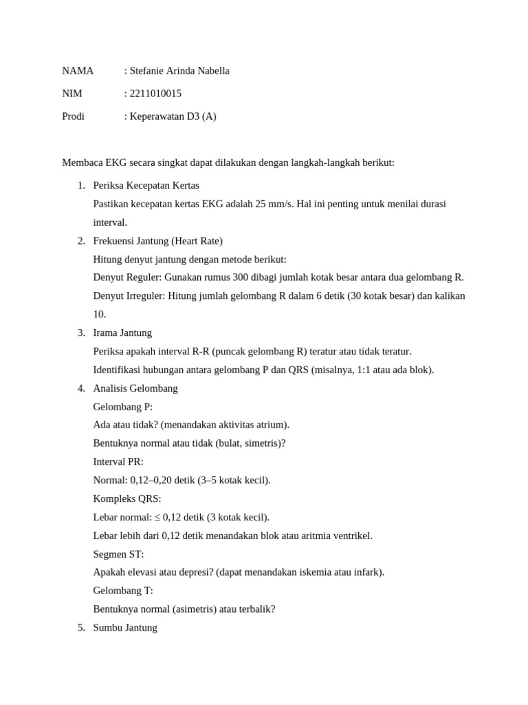 Resuem Stefanie | PDF