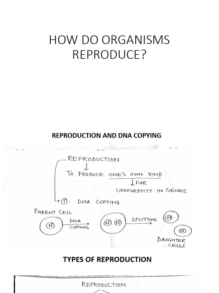 Reproduction: Methods and Processes | PDF