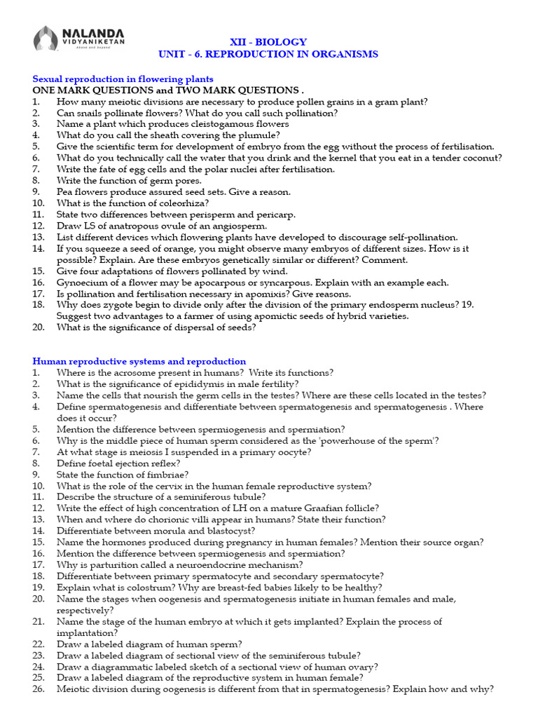 Class 12 Worksheets For Haly Yearly Exams 2024 - 25 | PDF | Flowers | Seed