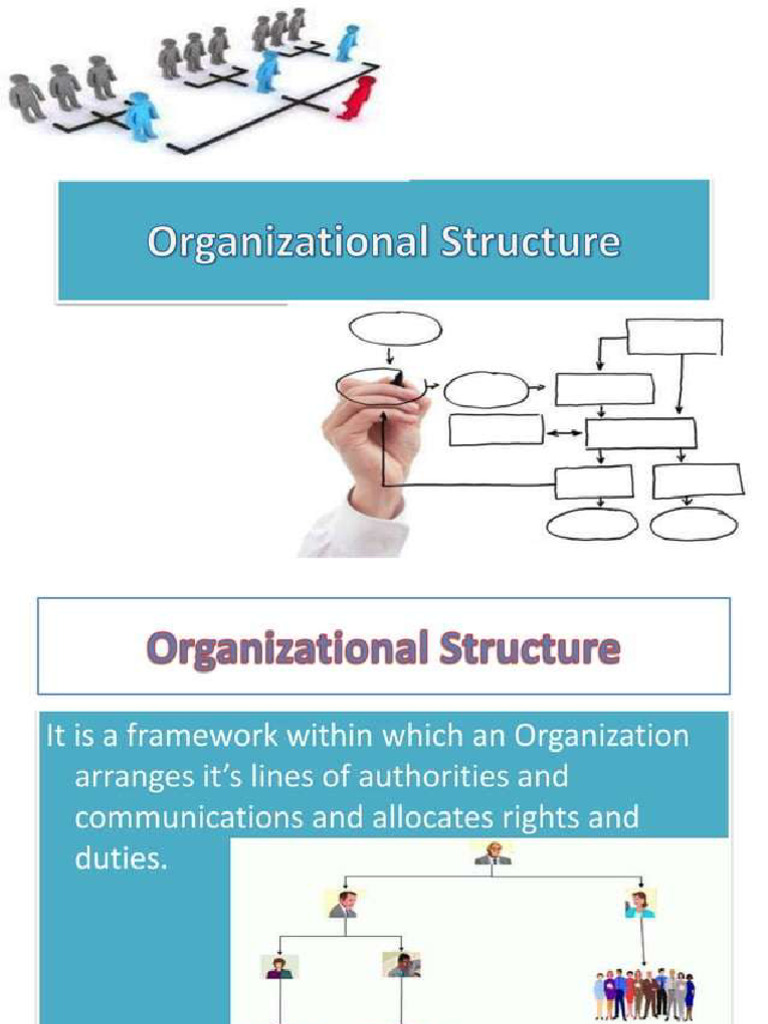 Organisational Structure | PDF