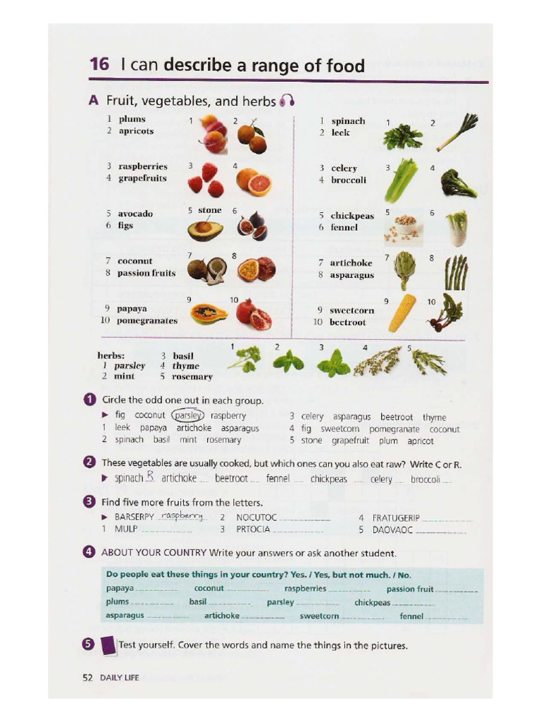 L2I - Ch4 - Daily Life | PDF