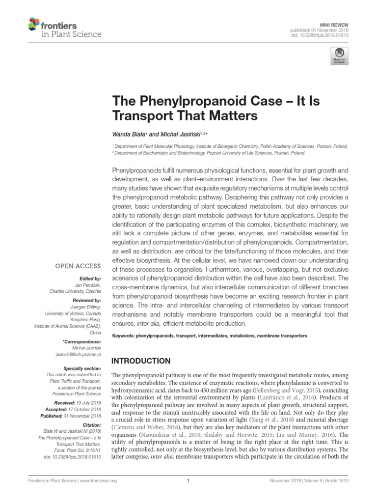 Transport in Phenylpropanoid Pathway | PDF | Metabolic Pathway ...