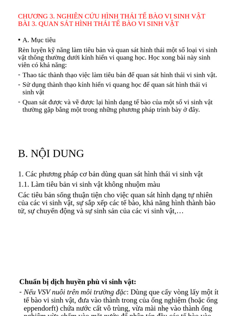 B3 Hinh Thai VSV | PDF