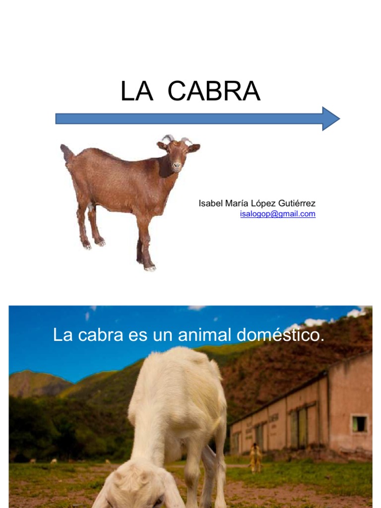 La Cabra | PDF